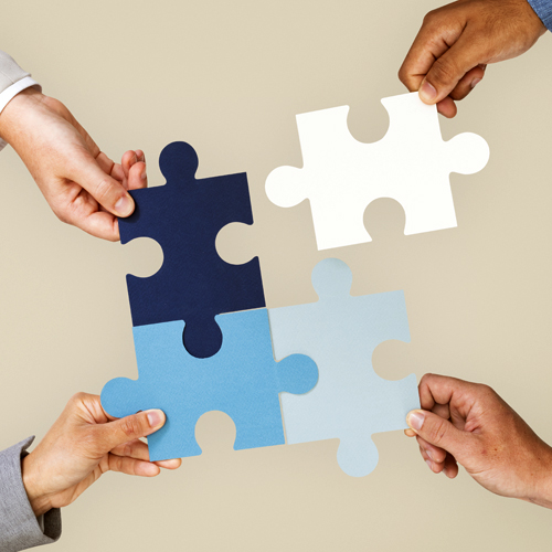 About | ShellInfo Global